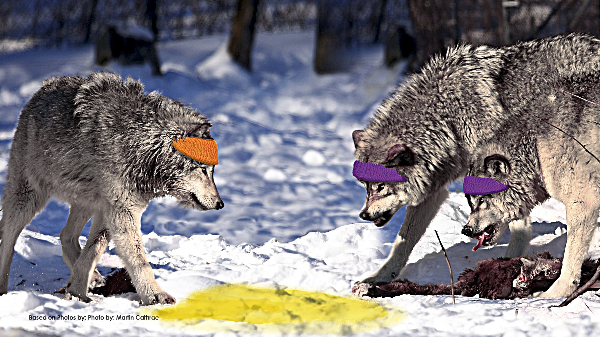 Wolf Pee, Beehives, and DNA: Smart Fences – INTHEFAME