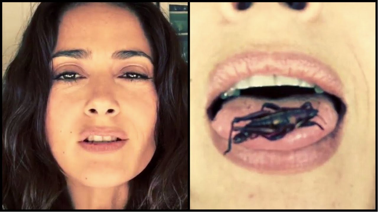SHOCKING: Salma Hayek Eats Insects? – INTHEFAME SHOCKING: Salma Hayek Eats Insects? – INTHEFAME