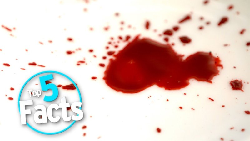 Top 5 Facts about Blood – INTHEFAME