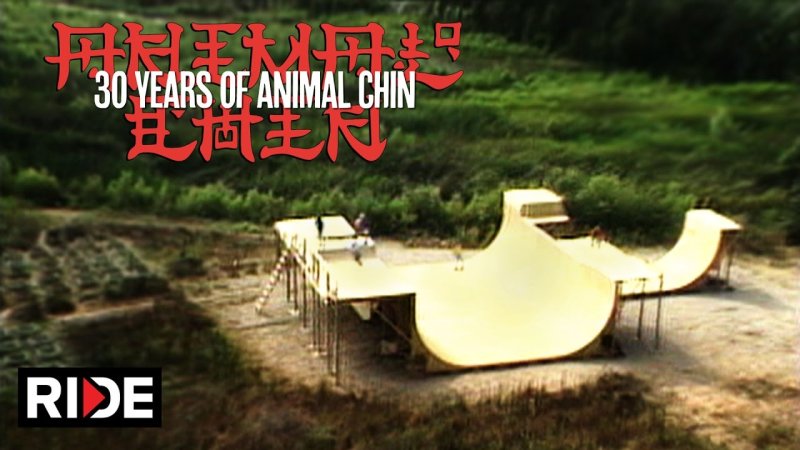 30 Years of Animal Chin – Building The Chin Ramp – INTHEFAME