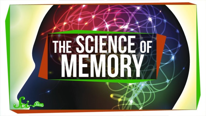 5 Videos on the Science of Memory – INTHEFAME