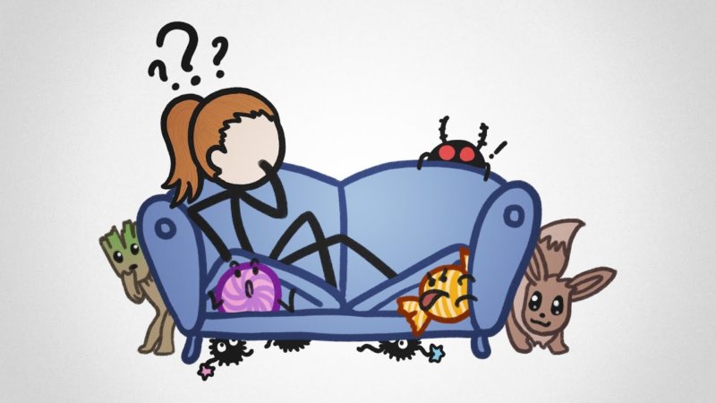 The Couch Candy Protocol – INTHEFAME