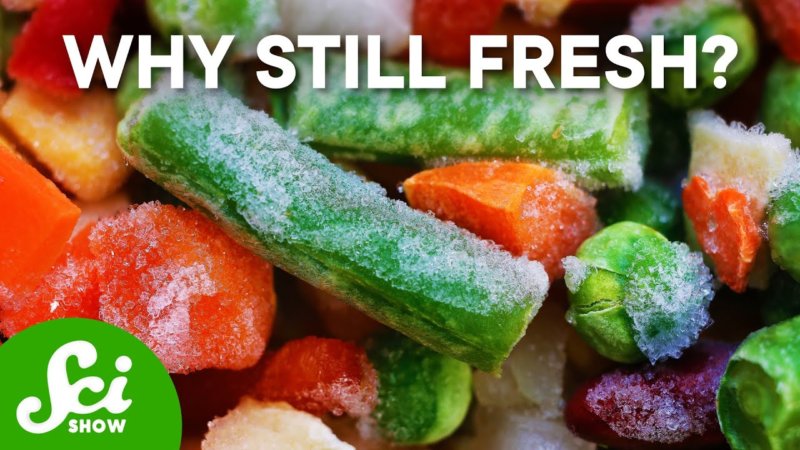 The Amazing Scientific Discovery Hiding Inside Your Freezer – INTHEFAME