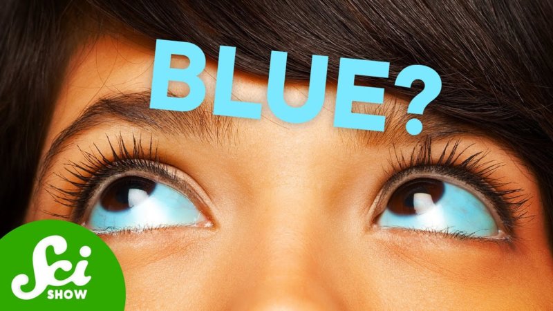 7 Ways Humans Change Color – INTHEFAME