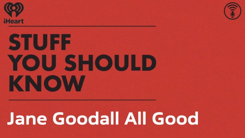 Jane Goodall: All Good | Stuff You Should Know – INTHEFAME