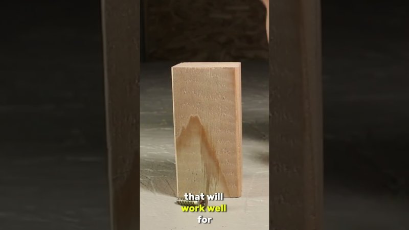 Easy Mouse Trap Gun Tutorial – INTHEFAME