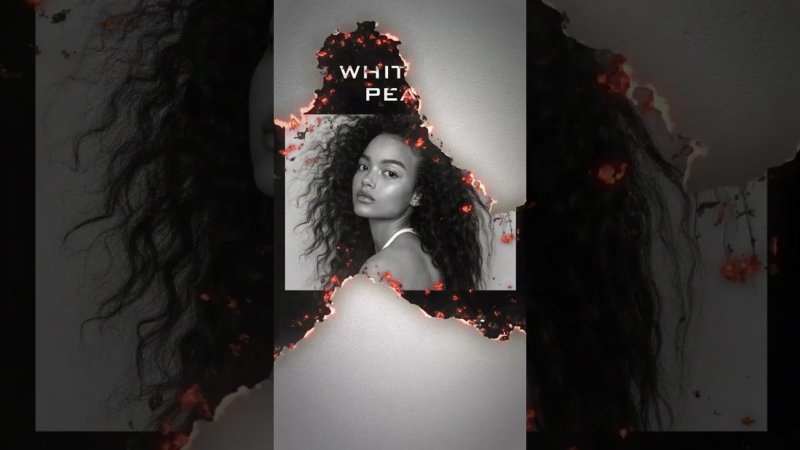 Lenore Dove Baird. The Hunger Games: Sunrise on the Reaping – in ...