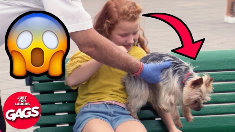 Crazy 😱 And Unhinged 🫣 Prank Compilation | Just For Laughs Gags – INTHEFAME