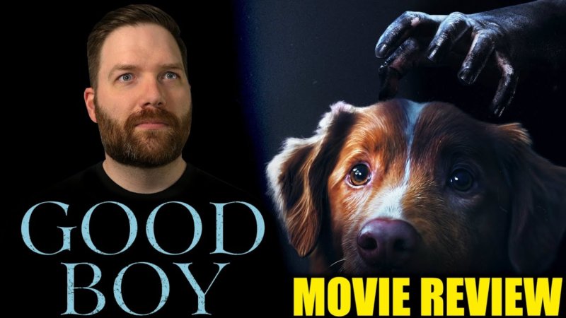 Good Boy – Movie Review – INTHEFAME